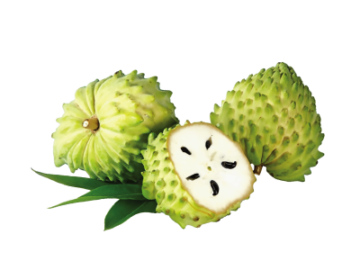 Graviola Duo – Dublu efect organic – Dublu efect împotriva bolilor ...